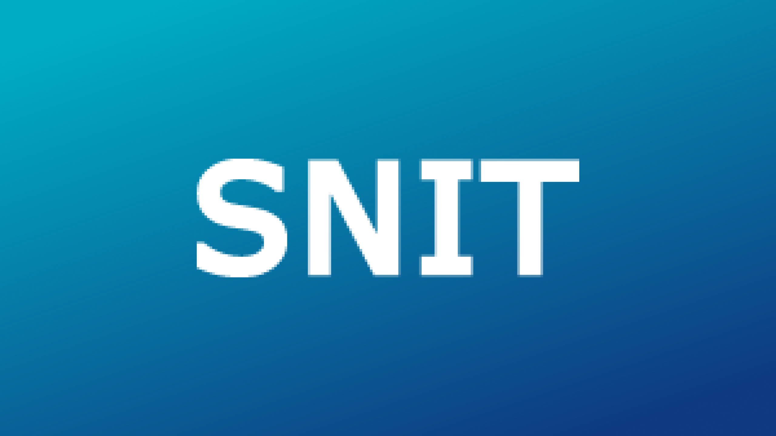 Snit Computer Reduces Complexity and Cost with GO-Global | GO-Global